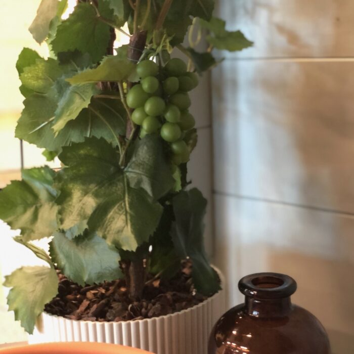 Druivenplant - Het Style Concept