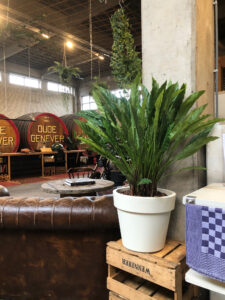 Tropistar - Het Style Concept