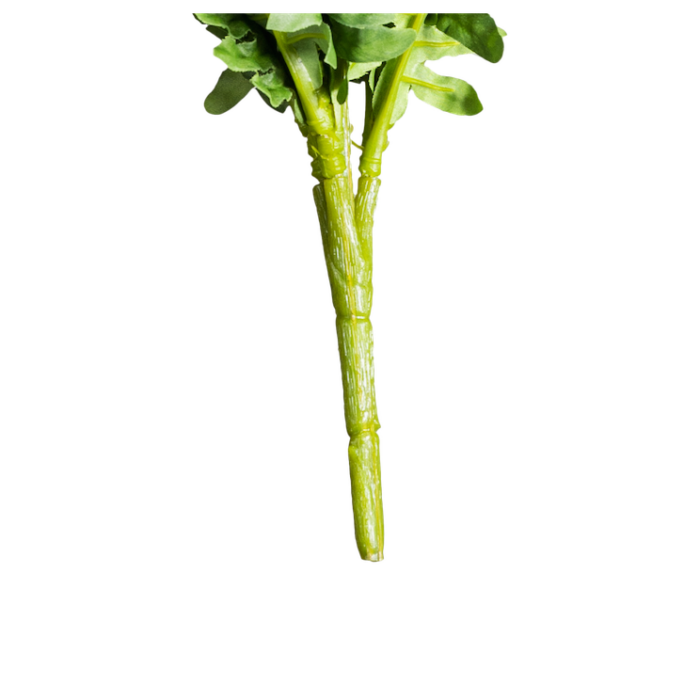 Boston varen - Het Style Concept