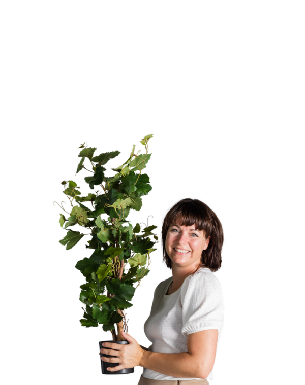 Druivenplant - Het Style Concept