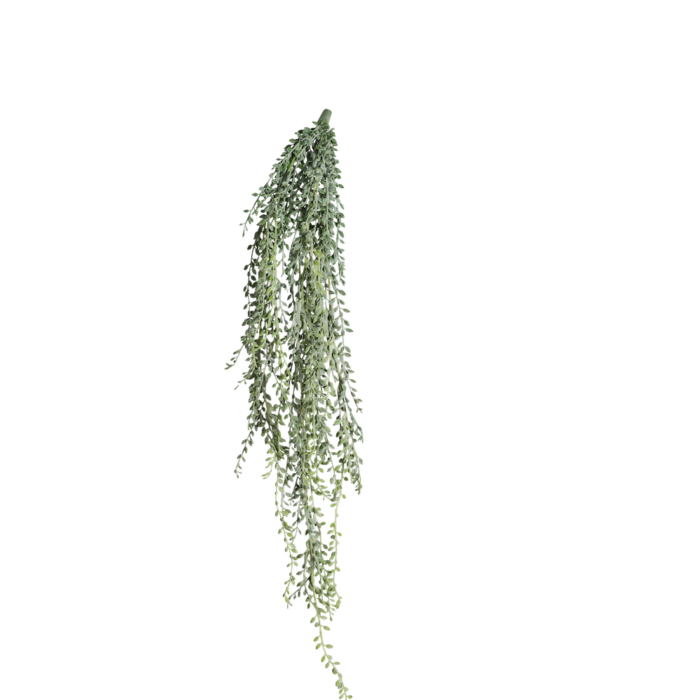 Erwtenplant - Het Style Concept