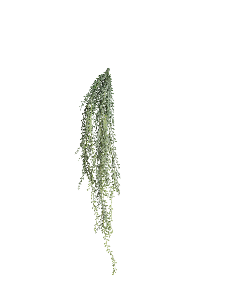 Erwtenplant - Het Style Concept