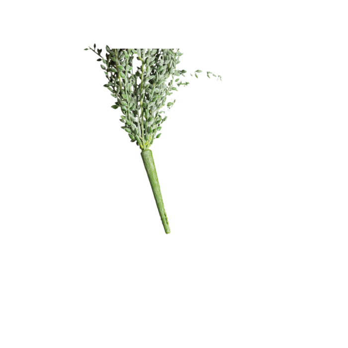 Erwtenplant - Het Style Concept