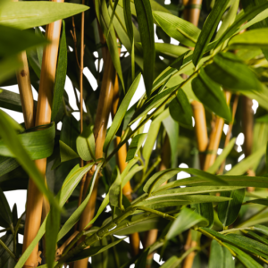 Bamboewand - Het Style Concept