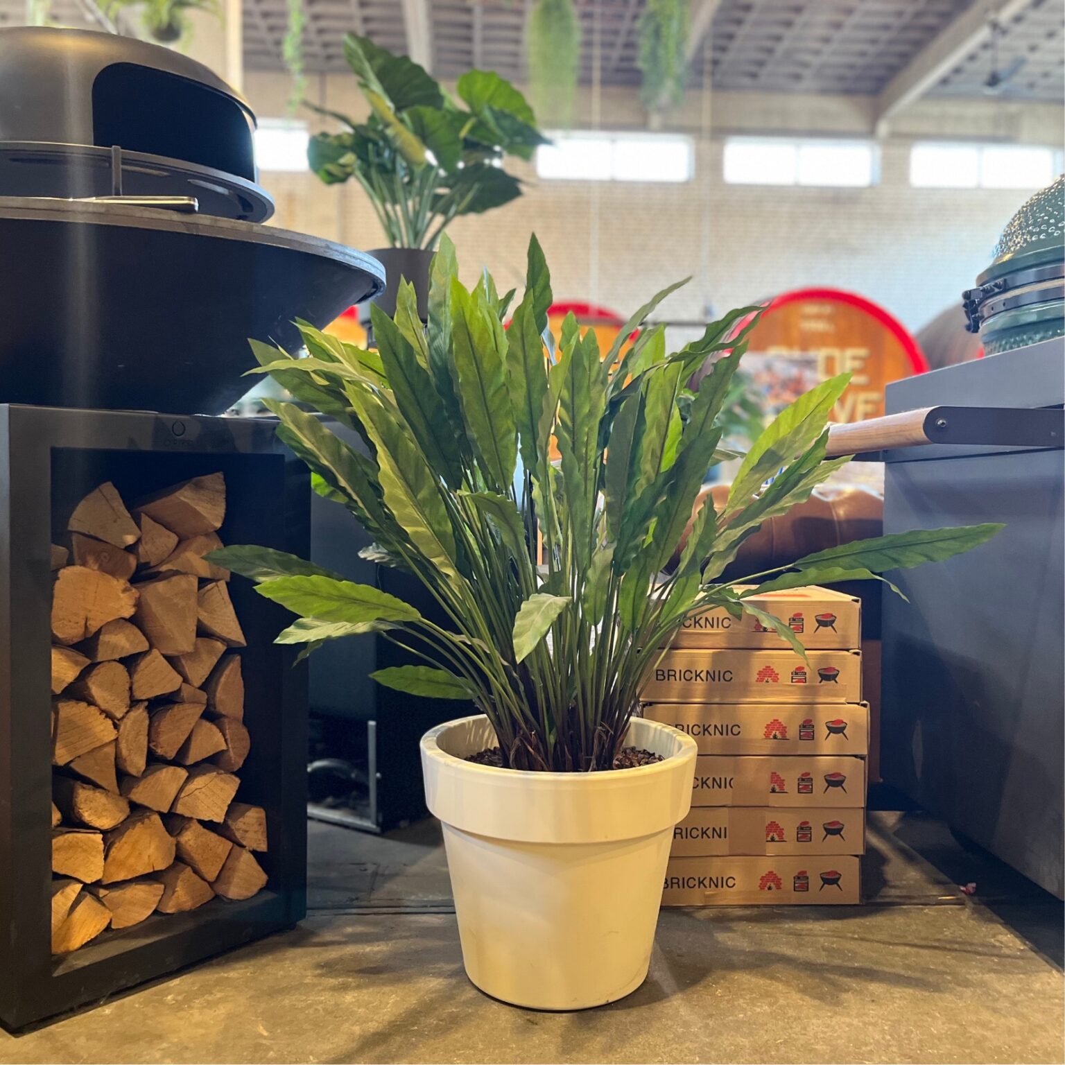 Tropistar - Het Style Concept